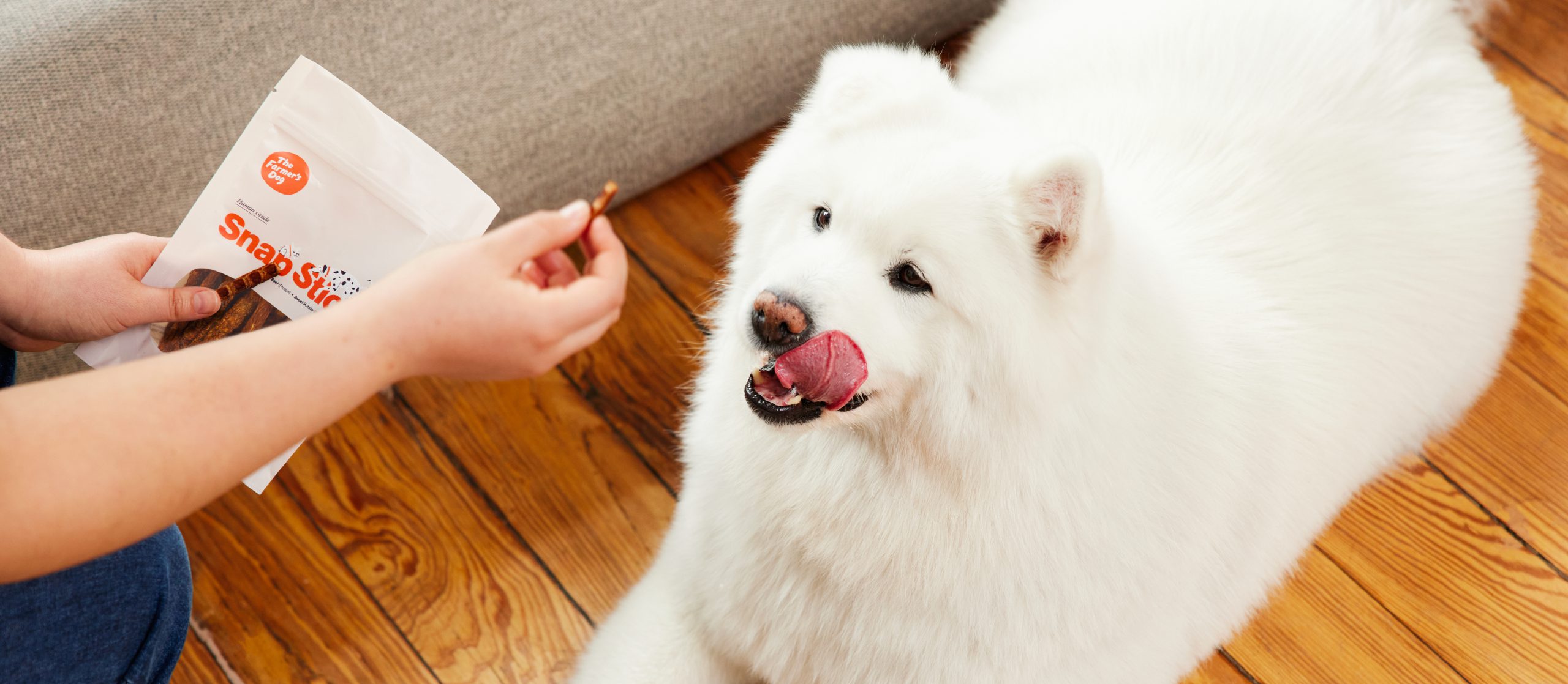 Why Treats Are Essential in Dog Training, And Why Snap Sticks are a ...