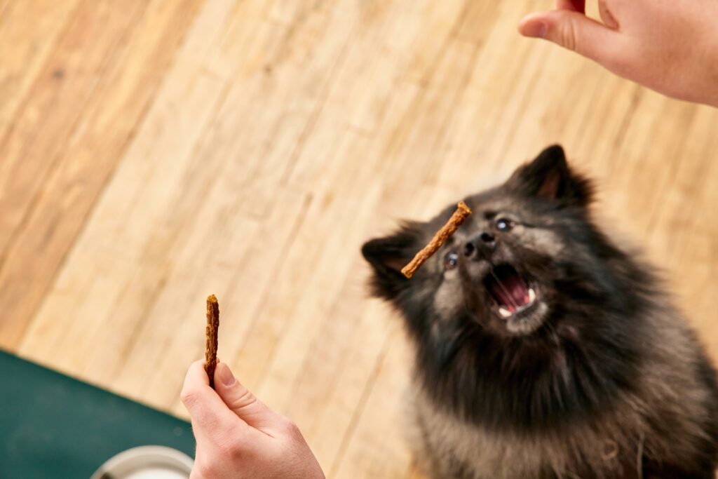 Why Treats Are Essential in Dog Training, And Why Snap Sticks are a ...