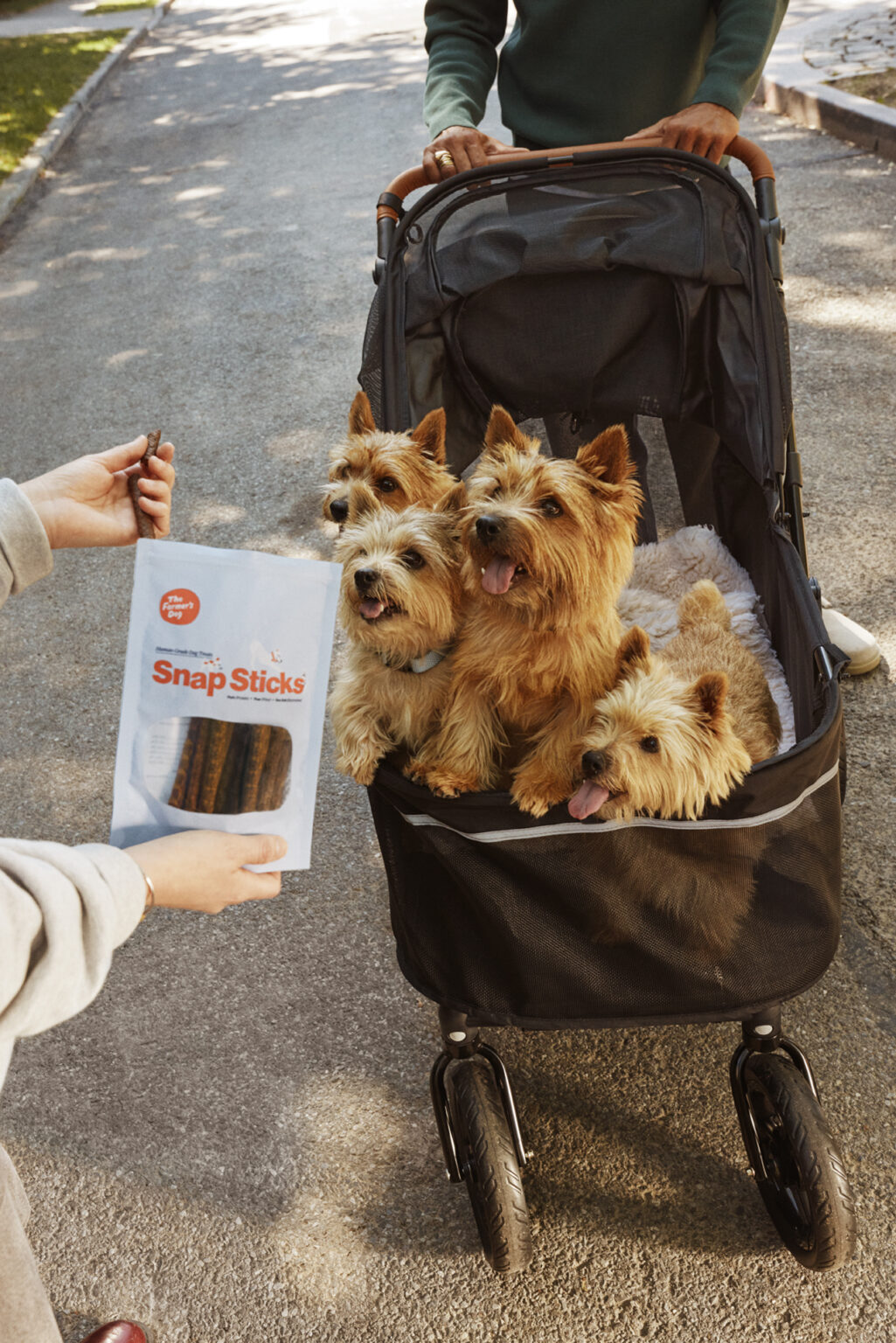 Treats Can Be Tricky. Snap Sticks Aren't. - The Farmer’s Dog - Digest